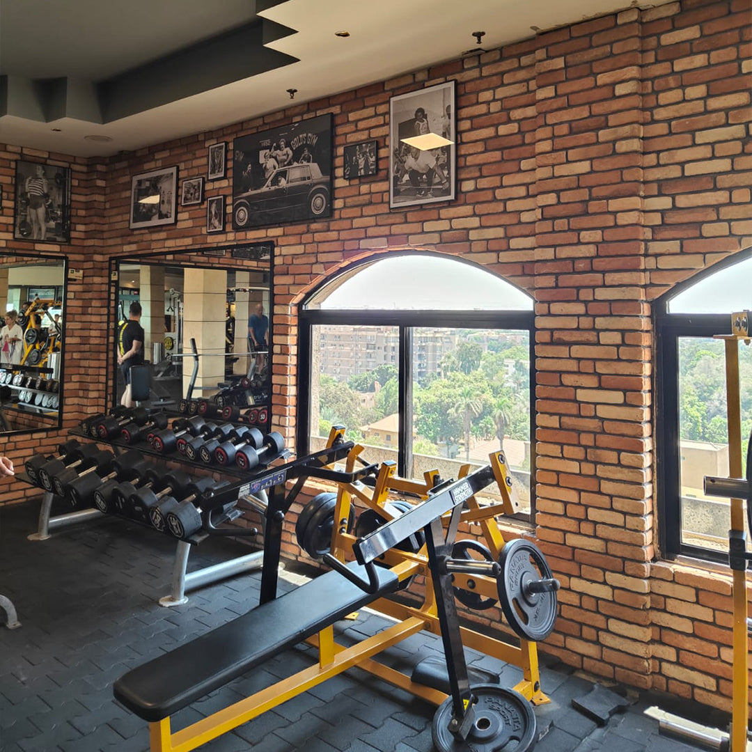 Maadi Road 9 – Gold's Gym Egypt